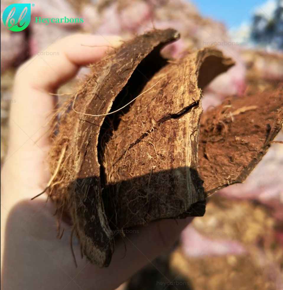 Coconut Shell Activated Carbon | Manufacturer from China